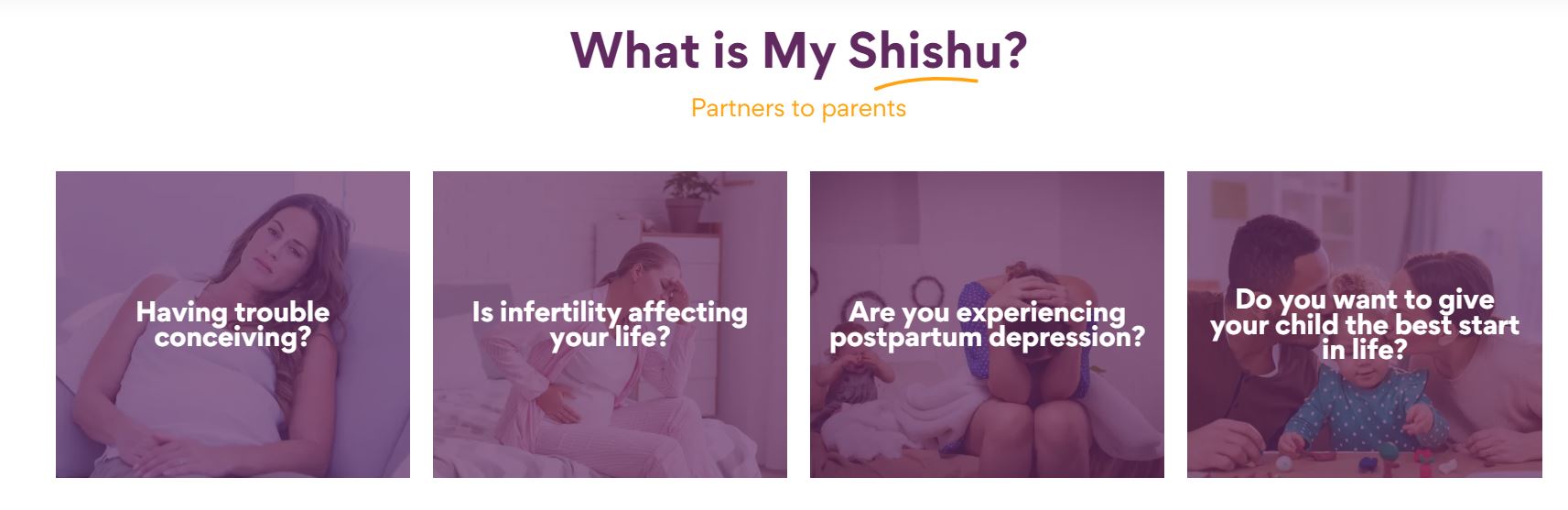 What is MYSHISHU? - MyShishu