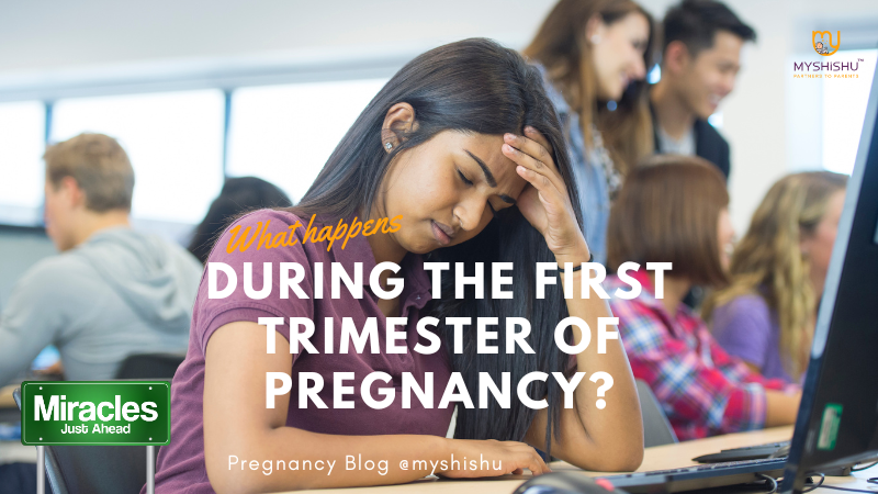 What happens in first trimester in pregnancy