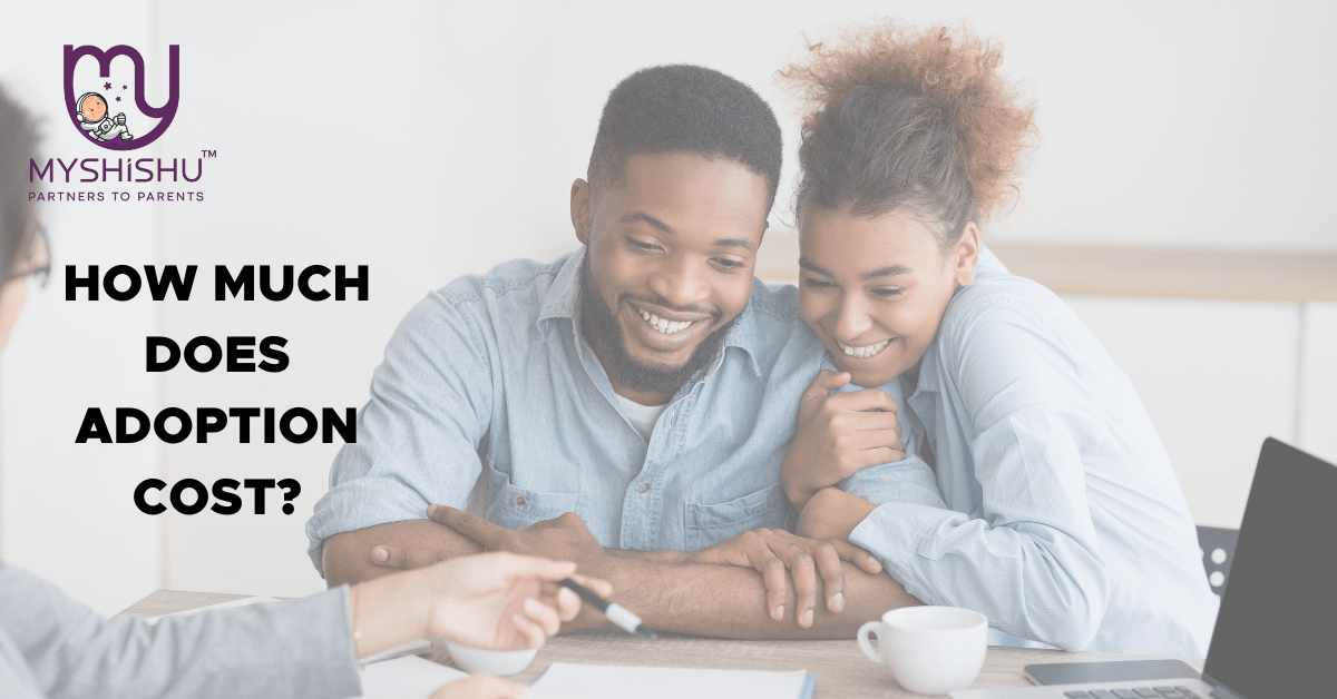 How much does adoption cost us - MyShishu