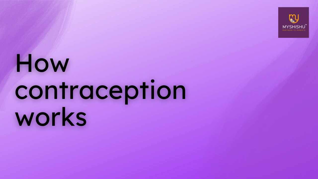 How contraception works - MyShishu