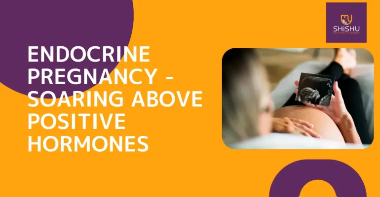 Endocrine Pregnancy - Soaring Above Positive Hormones
