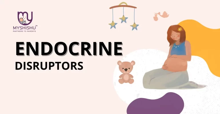 Endocrine Disruption During Pregnancy: A Comprehensive Guide