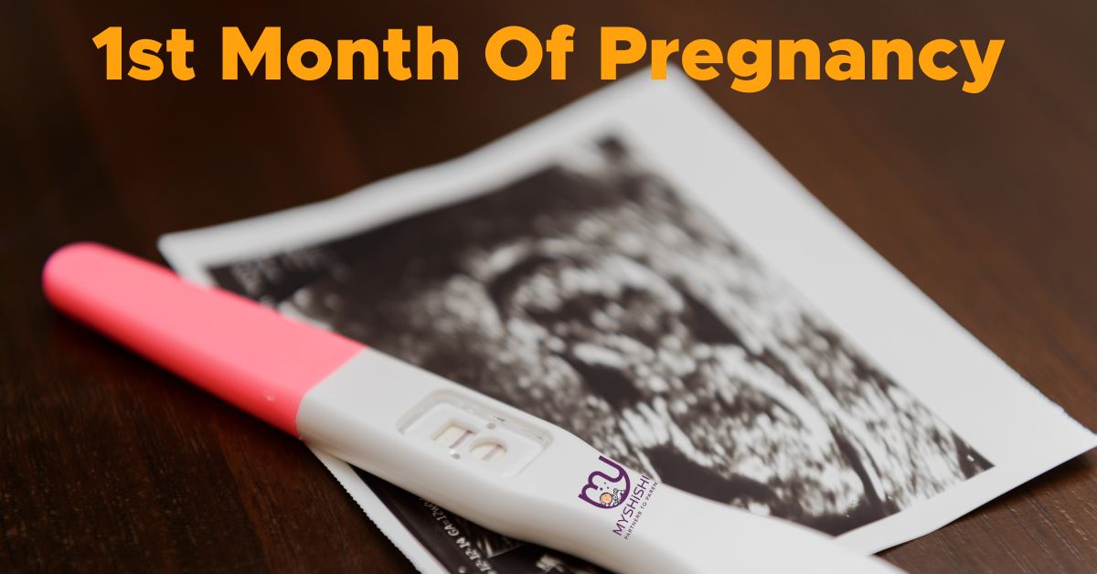 1st Month Of Pregnancy - MyShishu