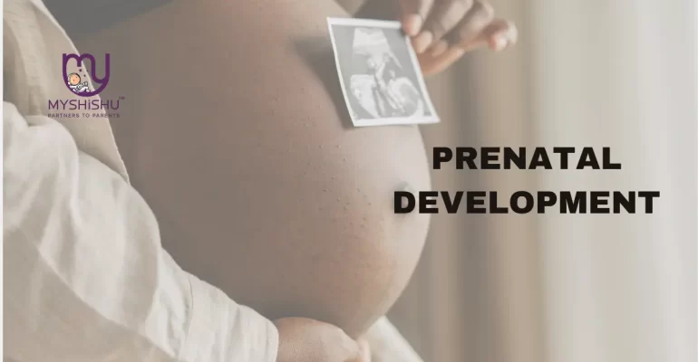Prenatal Development in Pregnancy: Nurturing Life with Courage - MyShishu